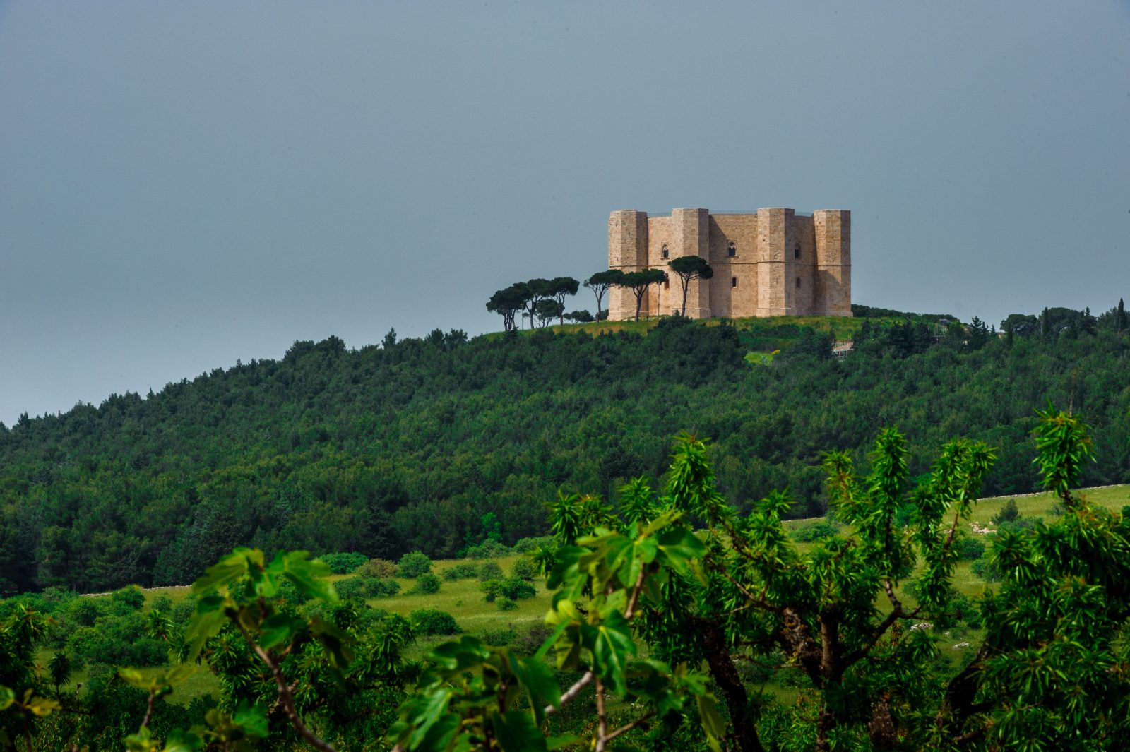 La scoperta della Puglia dei castelli non può non partire da Castel del ...