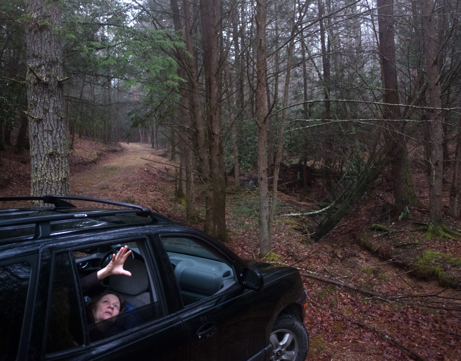 La fotografia di Massimo Berruti racconta l'ordinaria follia degli ...